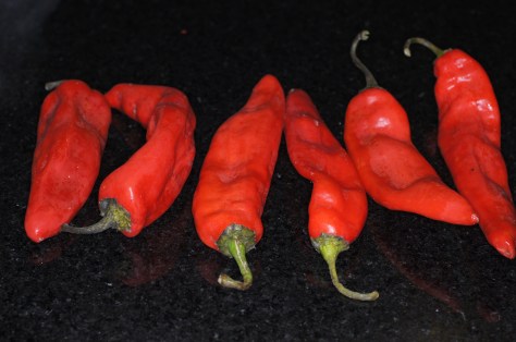 Stuffed Roasted Red Chile a la Richard | REMCooks