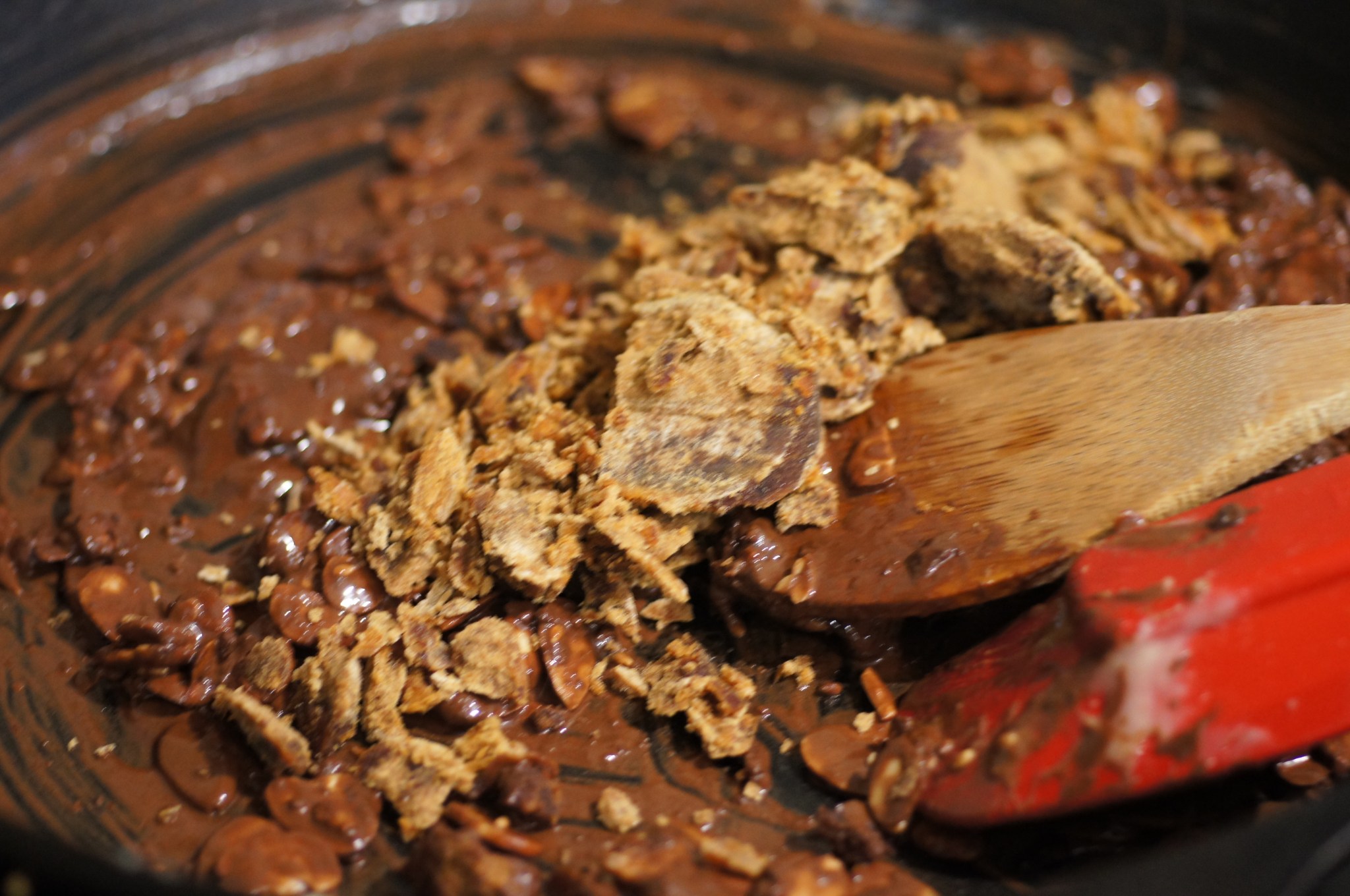 Baby Lady’s Chicken Mole Huasteco Crepes | REMCooks